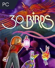 Buy 30 Birds CD Key Compare Prices