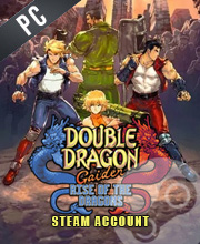 Double Dragon Gaiden Rise of the Dragons Steam Account Compare Prices