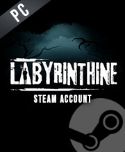 Labyrinthine Steam Account Compare Prices