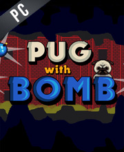 Buy Pug With Bomb CD Key Compare Prices