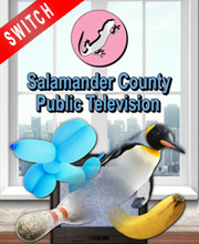 Buy Salamander County Public Television Nintendo Switch Compare prices