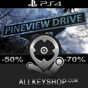 Buy Pineview Drive PS4 Game Code Compare Prices