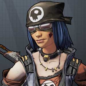 Buy Borderlands 2 DLC Torgue's Campaign of carnage CD KEY Compare ...