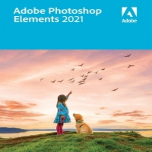 Buy Adobe Photoshop Elements 2021 CD KEY Compare Prices