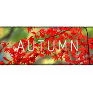 Buy Autumn CD Key Compare Prices