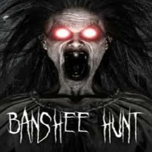 Buy Banshee Hunt CD Key Compare Prices