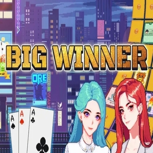Buy Big Winner CD Key Compare Prices