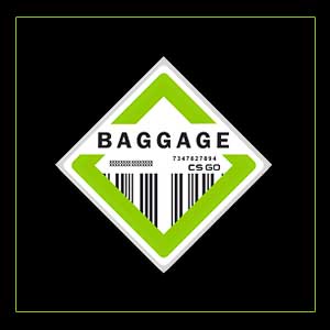 Buy CSGO Series 2 Baggage Collectible Pin CD KEY Compare Prices ...
