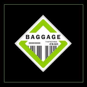 Buy CSGO Series 2 Baggage Collectible Pin CD KEY Compare Prices ...