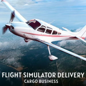 Buy Flight Simulator Delivery Cargo Business PS4 Compare Prices