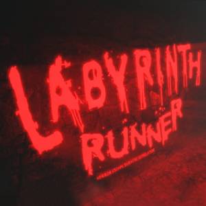Buy Labyrinth Runner Nintendo Switch Compare prices