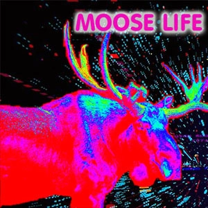 Buy Moose Life CD Key Compare Prices