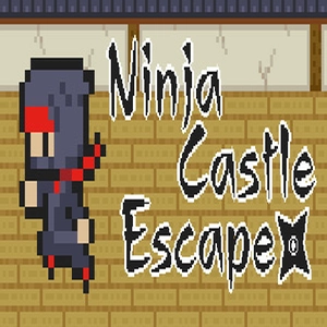 Buy Ninja Castle Escape CD Key Compare Prices