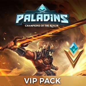 Buy Paladin's VIP Pack CD KEY Compare Prices - AllKeyShop.com