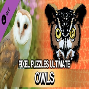 Buy Pixel Puzzles Ultimate Puzzle Pack Owls CD Key Compare Prices
