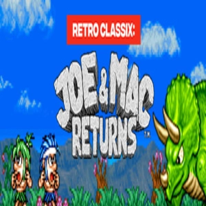 Buy Retro Classix Joe & Mac Returns CD Key Compare Prices