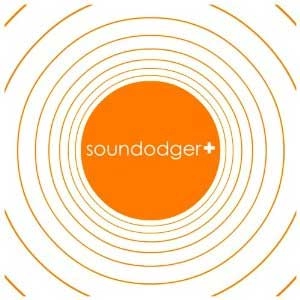 Buy Soundodger Plus CD KEY Compare Prices - AllKeyShop.com