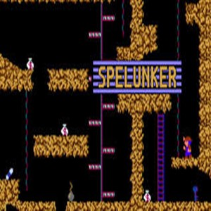 Buy Spelunker Nintendo Wii U Compare Prices