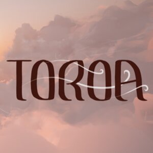 Buy Toroa PS4 Compare Prices