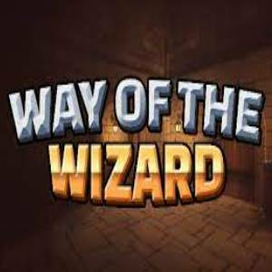 Buy Way of the Wizard CD Key Compare Prices
