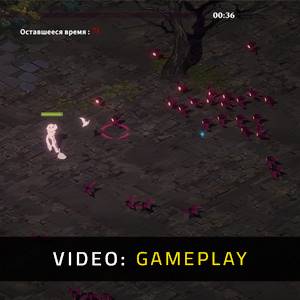 Buy Wedding Witch CD Key Compare Prices